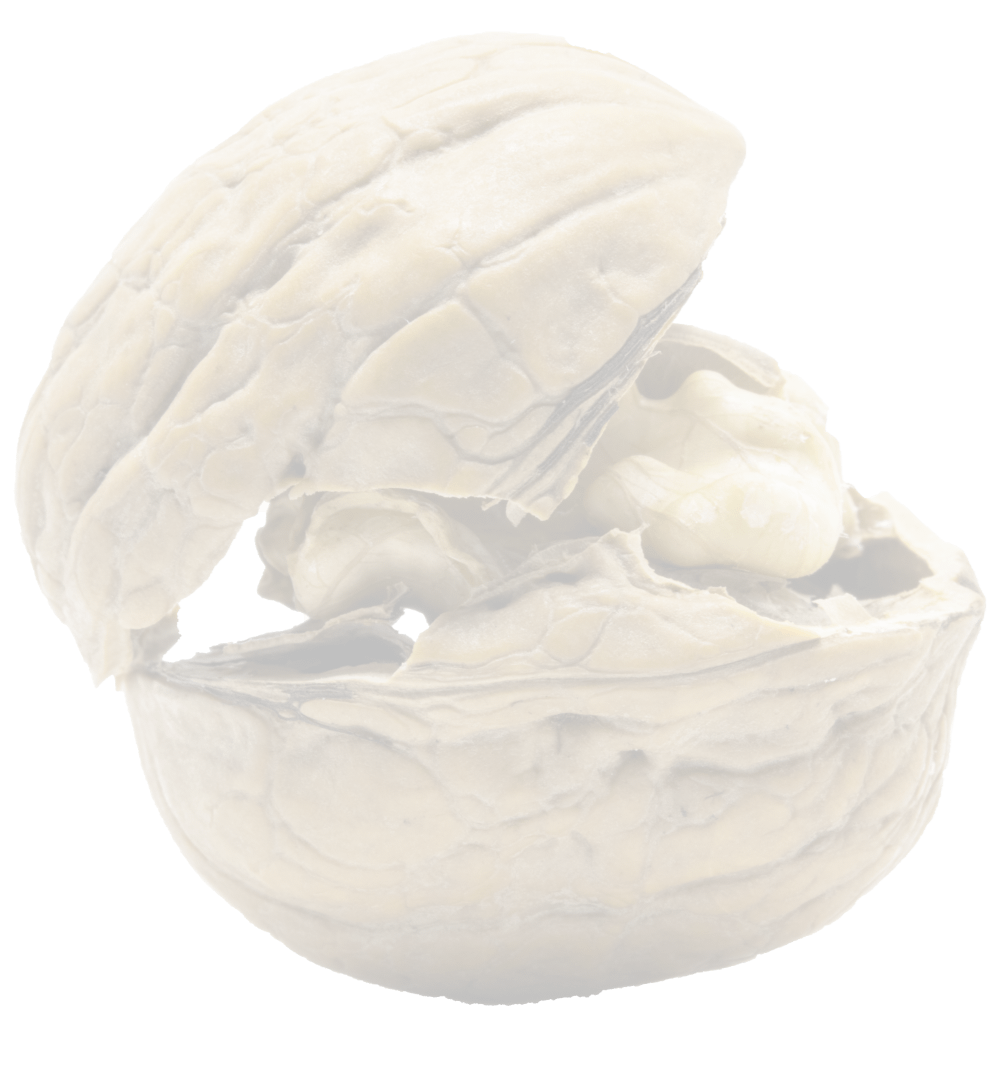 Buddhism In A Nutshell - Buddhist Directory